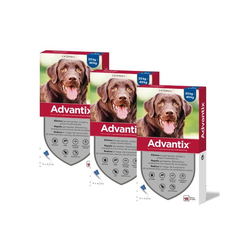 Advantix pack 3 unités (12 pipettes) pour les grands chiens (+25kg)
