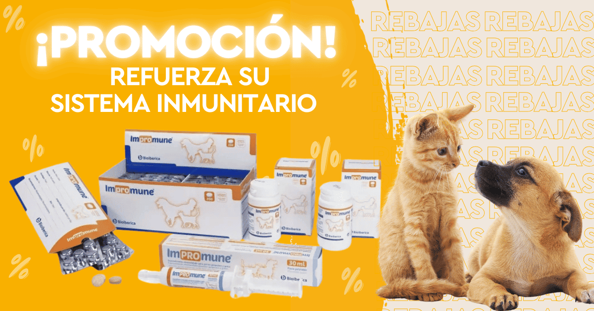 Guaw: Tienda de animales online ¡Disfruta, animal! - Guaw